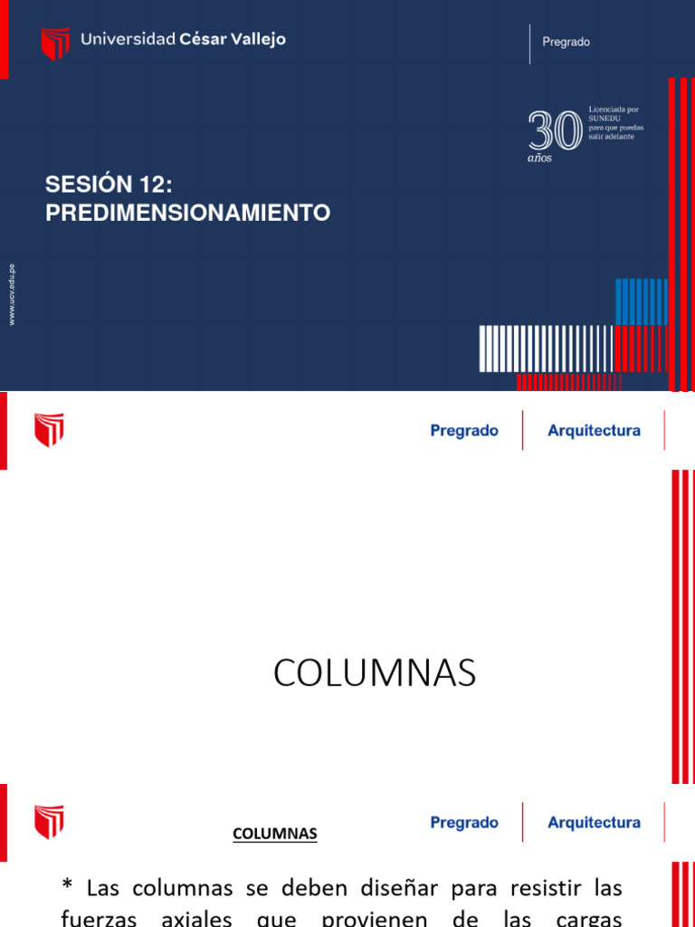 Sesion 12 Predimendionamiento Columnas | PDF