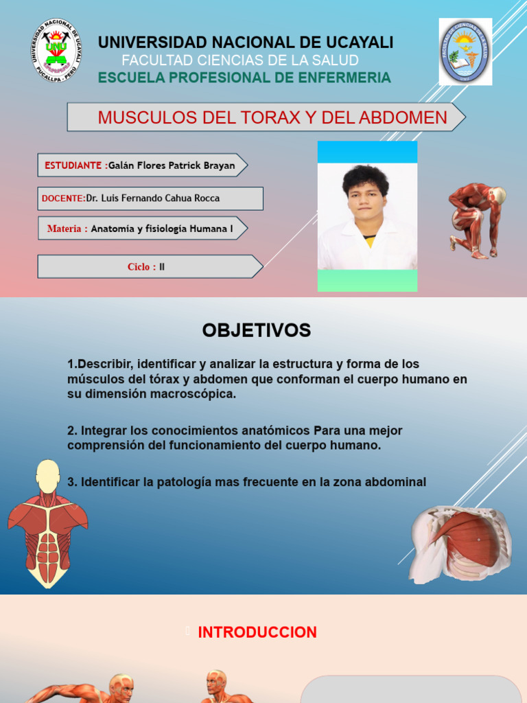 de Patrick Galan Flores | PDF | Tórax | Abdomen