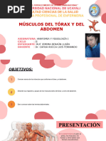 HIPERLACTATEMIA | PDF | Ácido láctico | Fisiología