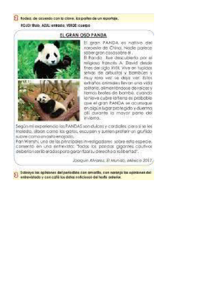 Ejemplos de Reportajes | PDF