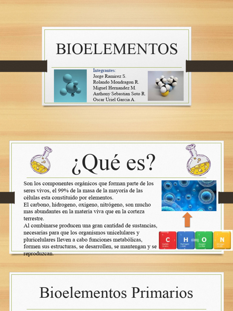 BIOELEMENTOS | PDF | Biomoléculas | Organismos
