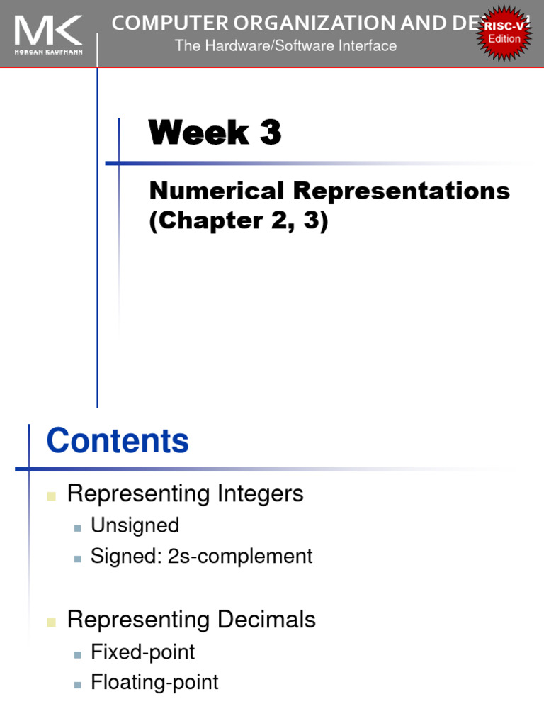RISC-V Numerical Representations Guide | PDF | Numbers | Mathematics