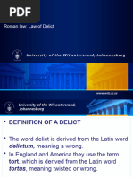 Delictual Liability Actions Guide | PDF | Common Law | Justice