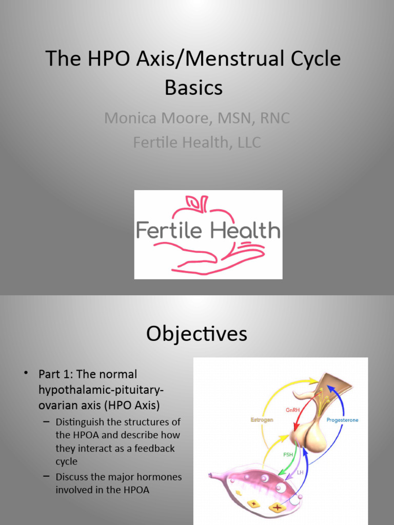 Hpo Axis 2019 | PDF | Menstrual Cycle | Luteinizing Hormone
