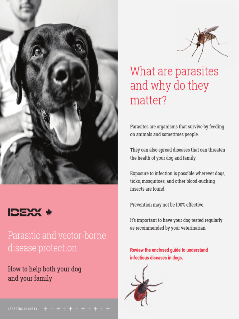 pet-owner-parasite-screening-brochure-en-ca | PDF | Immunology | Public ...