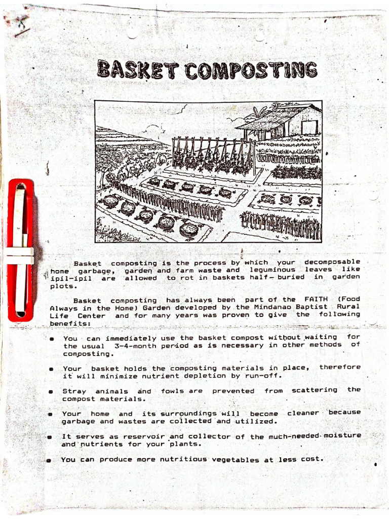 Basket Composting Pdf