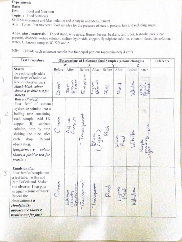 Food Test Results | PDF