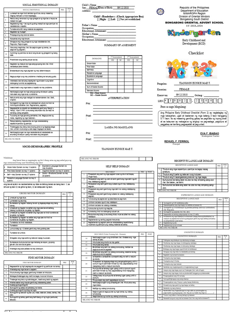 Social Emotional Domain | PDF