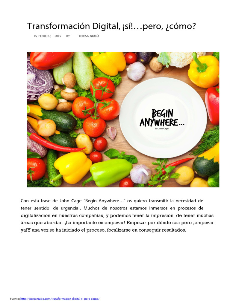 Cómo Llevar A Cabo La Transformación Digital | PDF