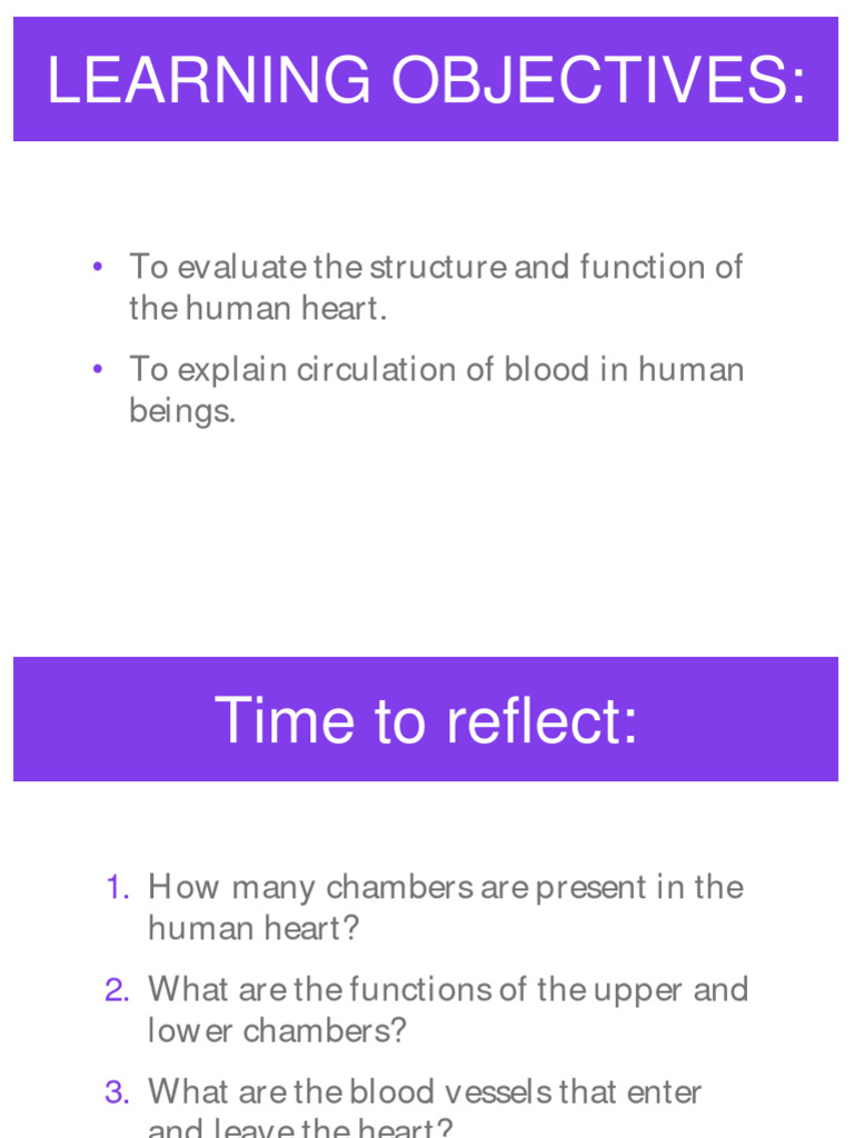Heart Grade 10 | PDF | Heart | Atrium (Heart)
