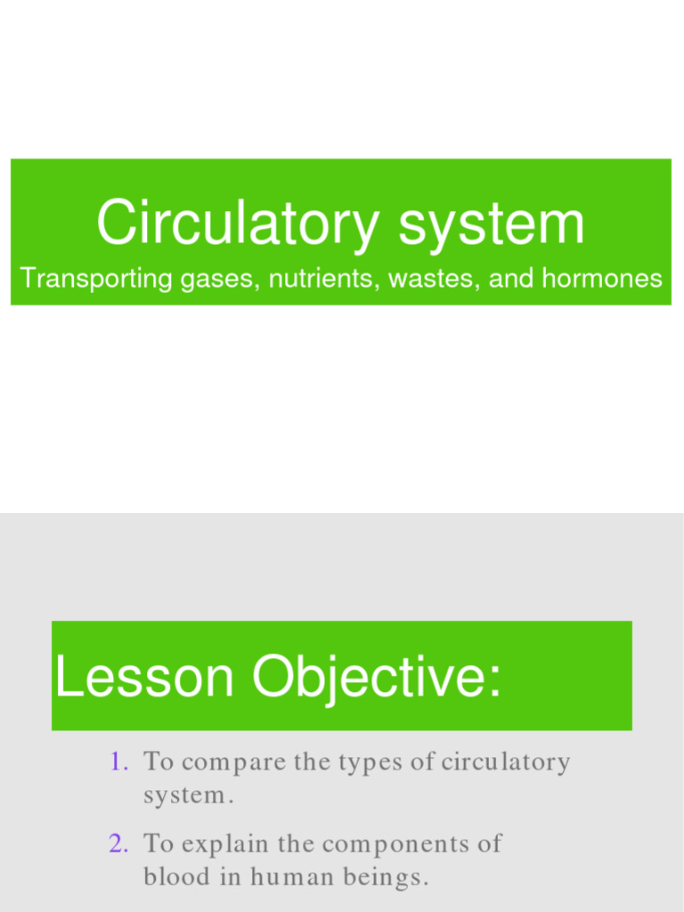 Circulatory-System Grade 10 | PDF | White Blood Cell | Artery