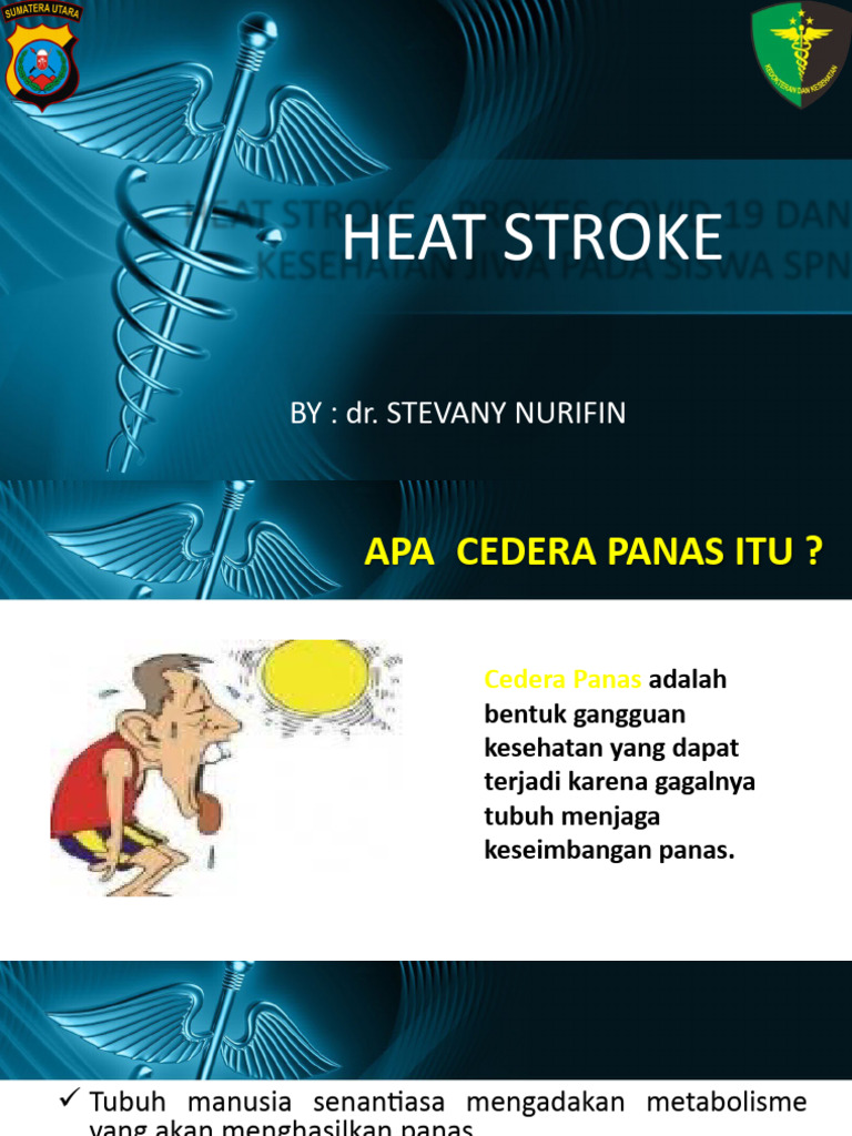 Heatstroke | PDF