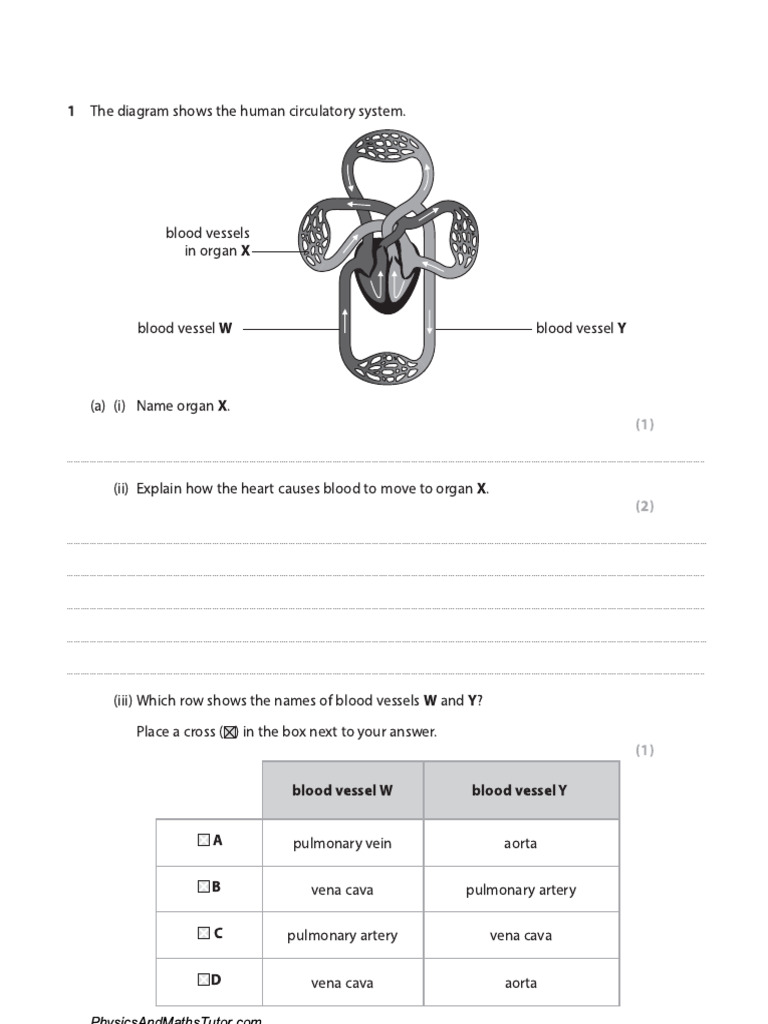 Circulatory System 1 answered | PDF