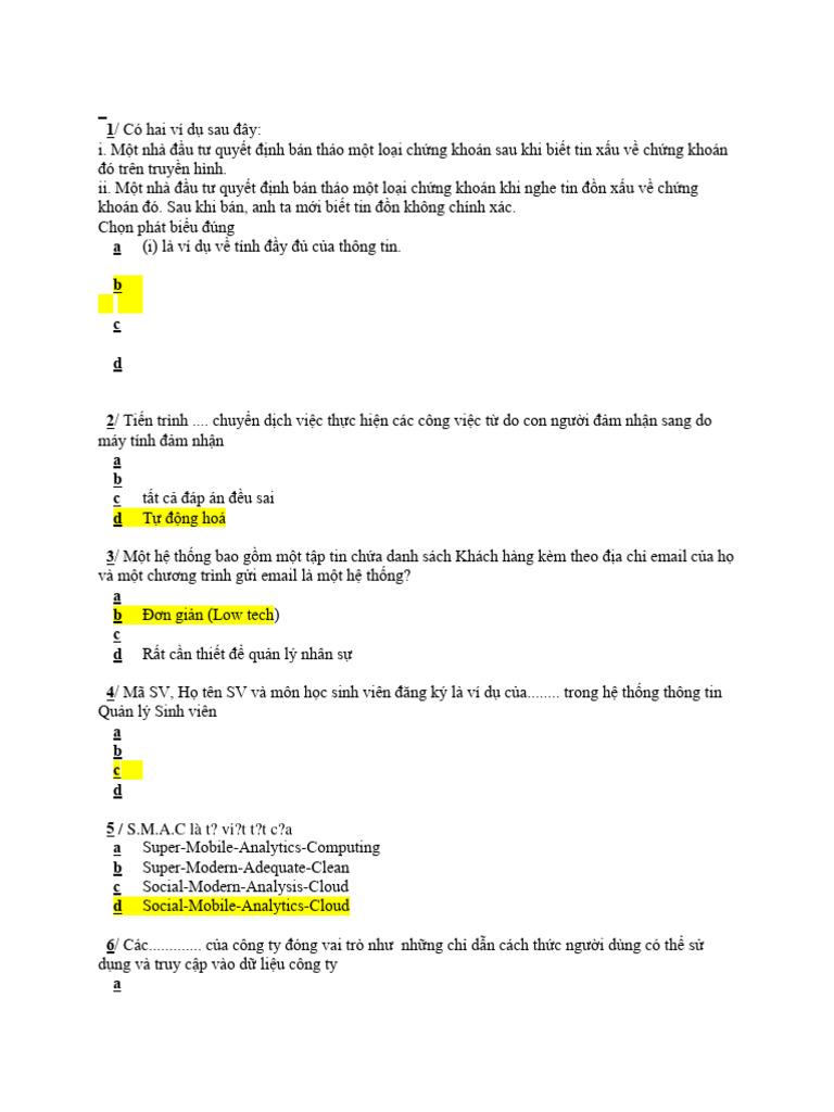 Cau Hoi On Tap MIS | PDF