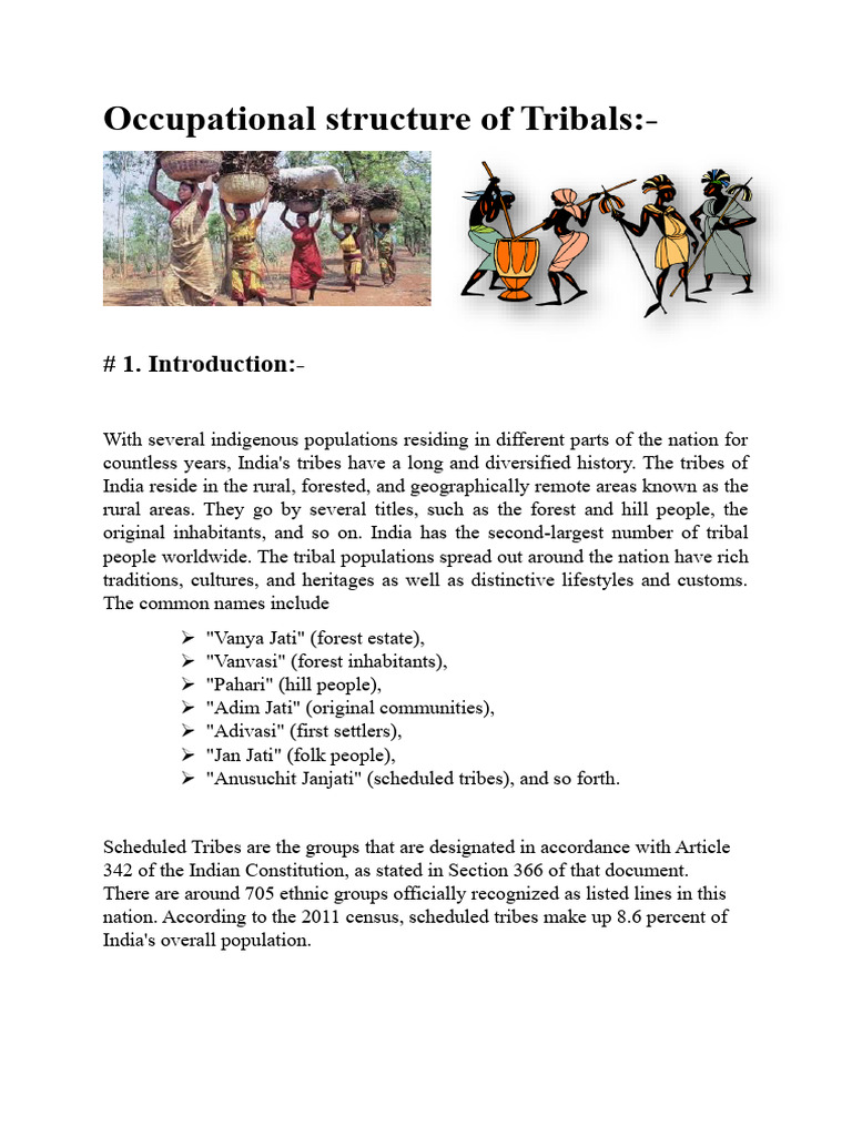 Tribal Occupational Structure in India | PDF