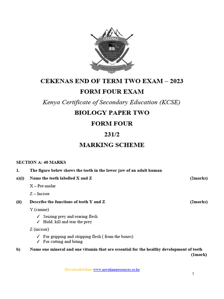 Biology Pp2 Marking Scheme CEKENAS Mocks 2023 | PDF | Eye | Human Eye