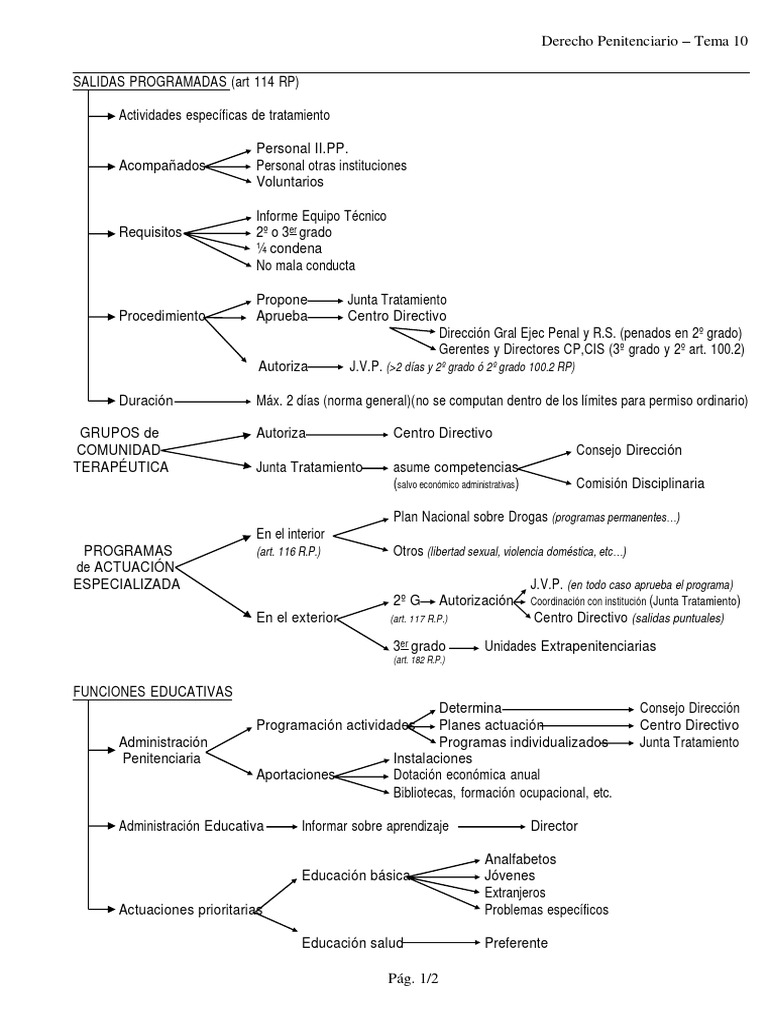 Esquema t10 Derecho Penitenciario | PDF | Justicia | Crimen y violencia