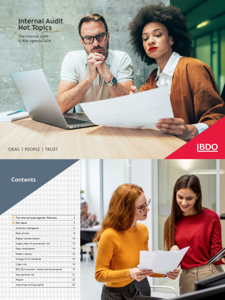 Internal Audit Hot Topics | PDF | Cost Of Living | Internal Audit