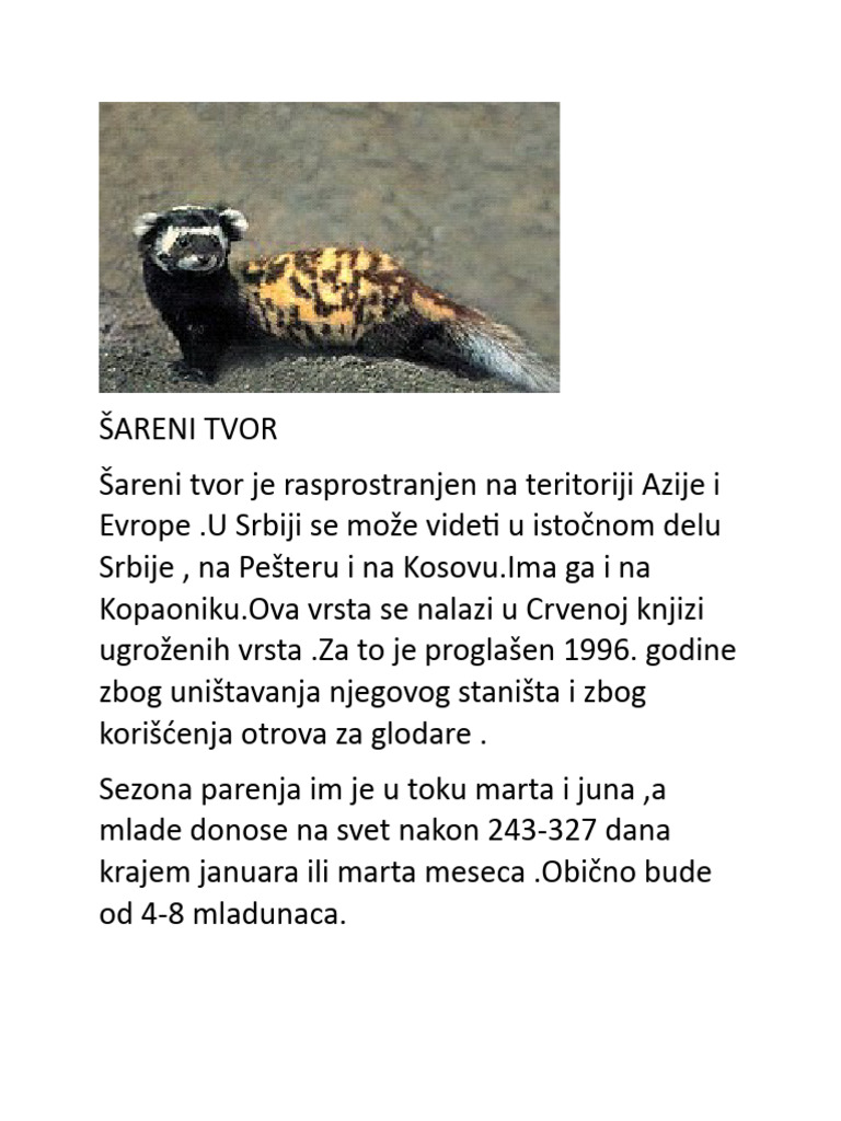 Šareni Tvor | PDF