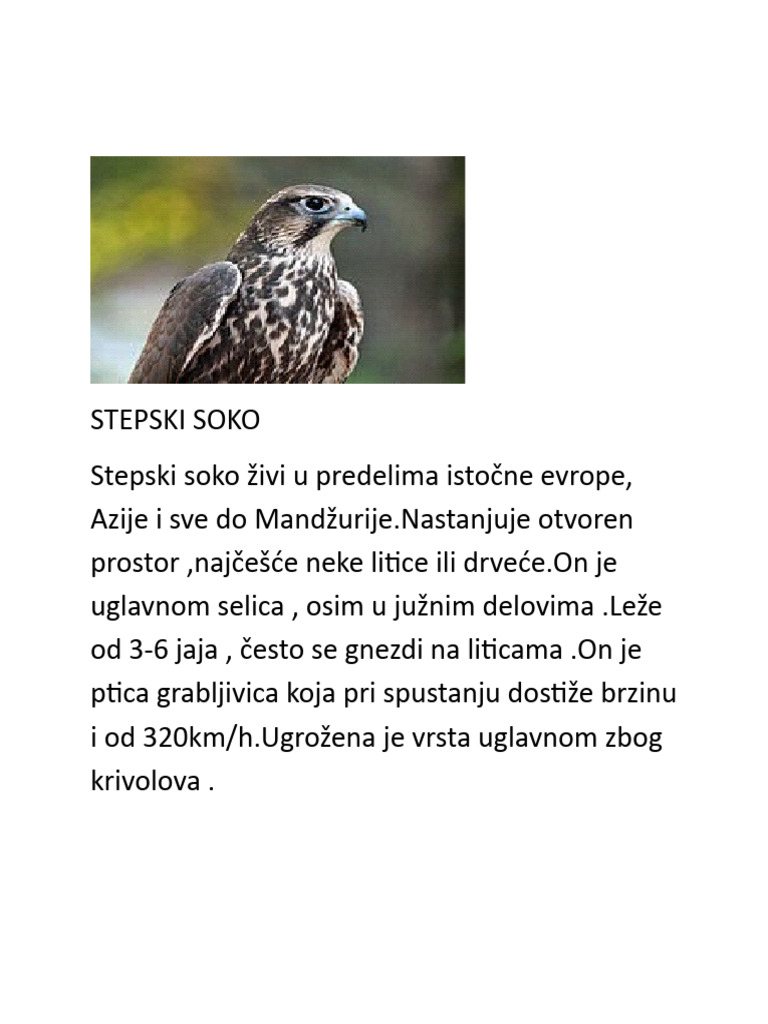 Stepski Soko | PDF