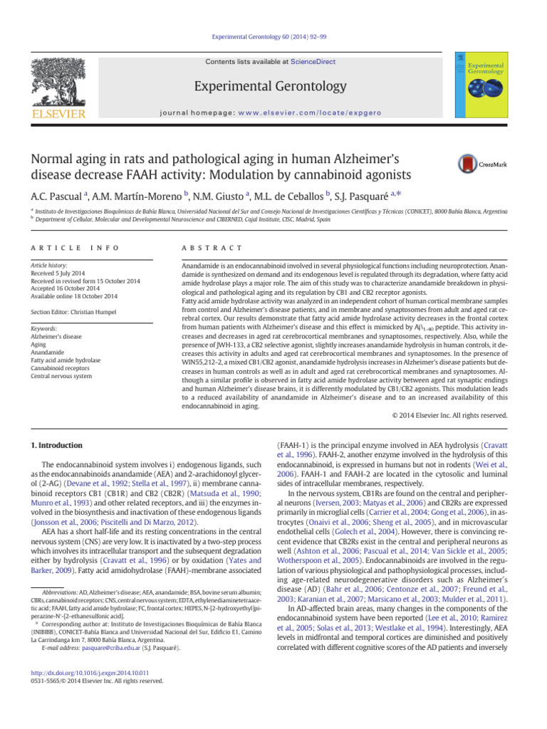 Normal Aging in Rats and Pathological Aging in Human Alzheimer's ...