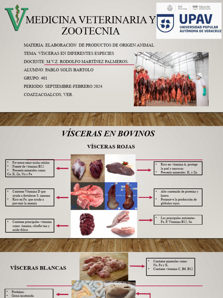 Nutrientes de vísceras en animales | PDF | Menudencias | Vitamina B12