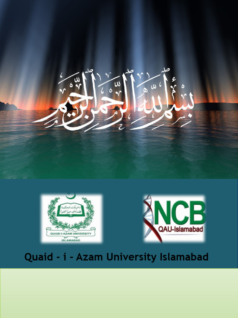 Communal Groups | Download Free PDF | Isma'ilism | Shia Islam