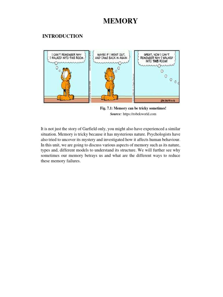 Memory | PDF | Memory | Perception