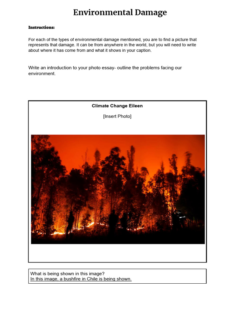 Photo Essay on Environmental Damage | PDF | Oil Spill | Deforestation