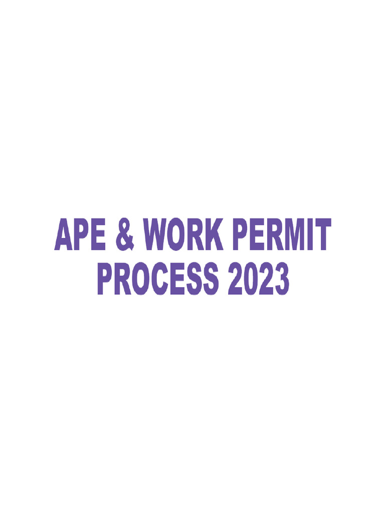 APE & Work Permit Process 2023 | PDF
