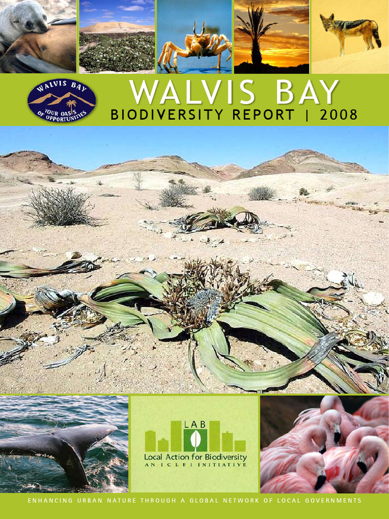 Walvis Bay Lab Report | PDF | Namibia | Coast