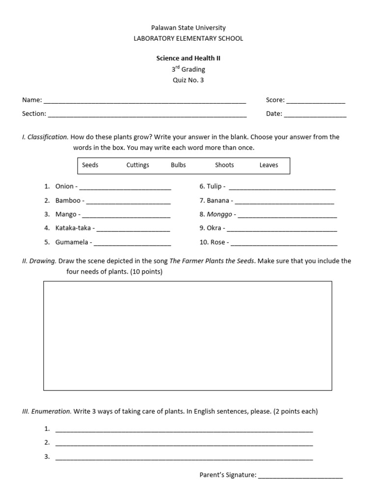 Uses of Plants Quiz Grade 2 | PDF