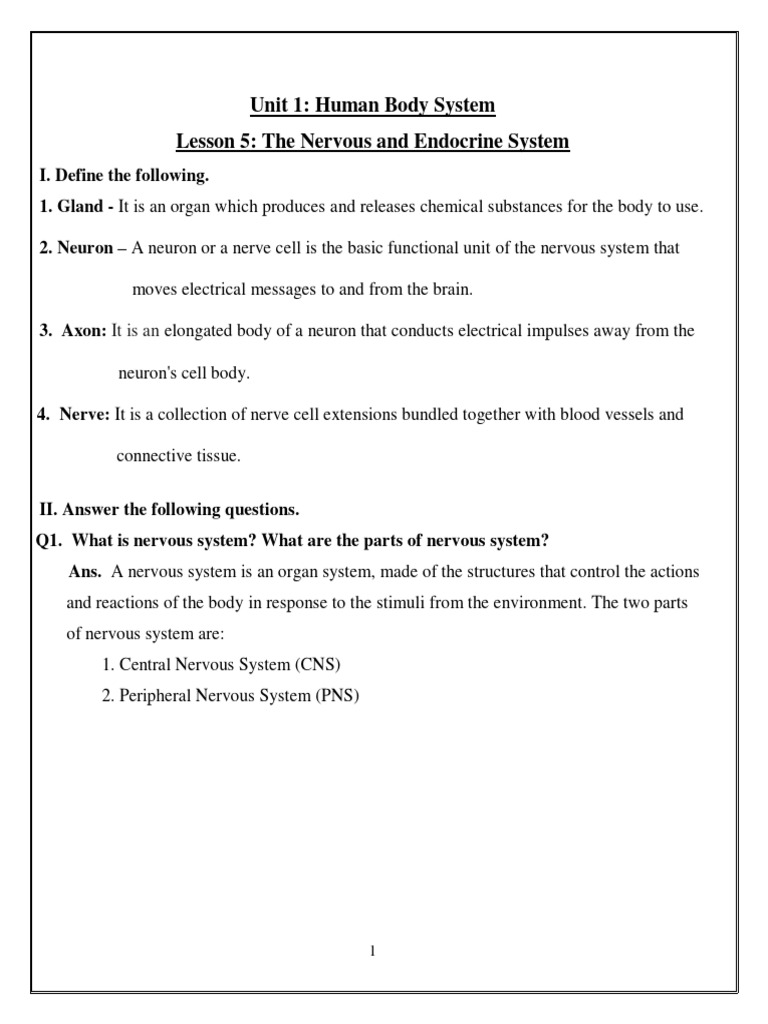 Unit 1: Human Body System Lesson 5: The Nervous and Endocrine System ...