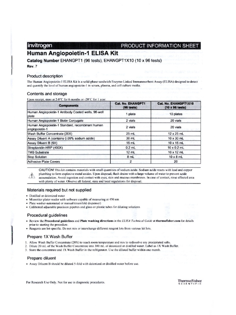 Protocolo ELISA HumanAngiopoietin-1 | PDF