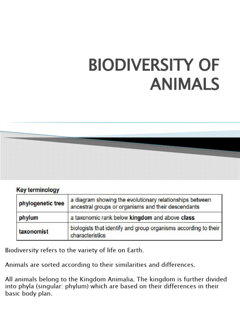 Biodiversity of Animals | PDF | Soil | Biology