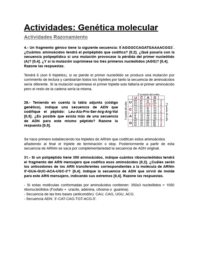 Actividades - Gen-Tica Molecular | PDF | Rna | Adn