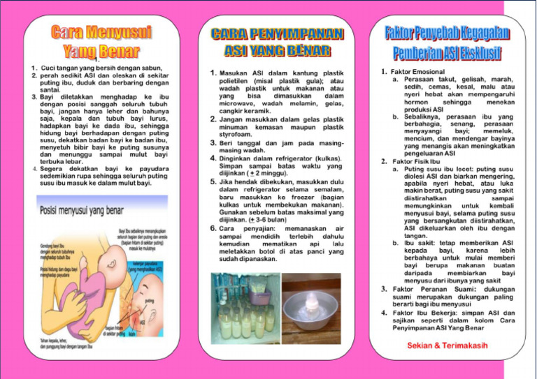 Asi Leaflet 2 Fix | PDF