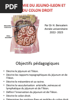 Anatomie du Péritoine et ses Fonctions | PDF