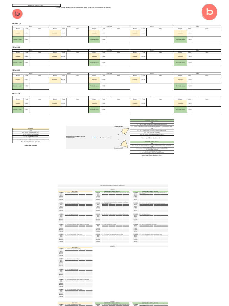 Planificaci n y Diario - Mes 1 | PDF | Manejo de la obesidad | Ejercicio físico