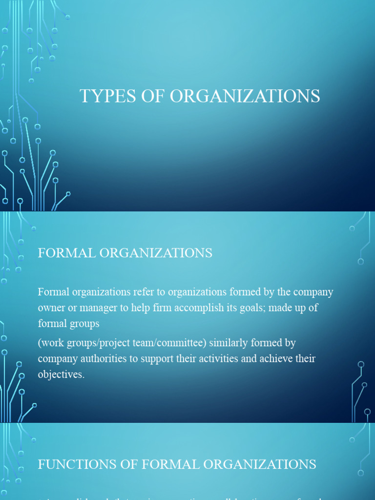 Types of Organizations | PDF