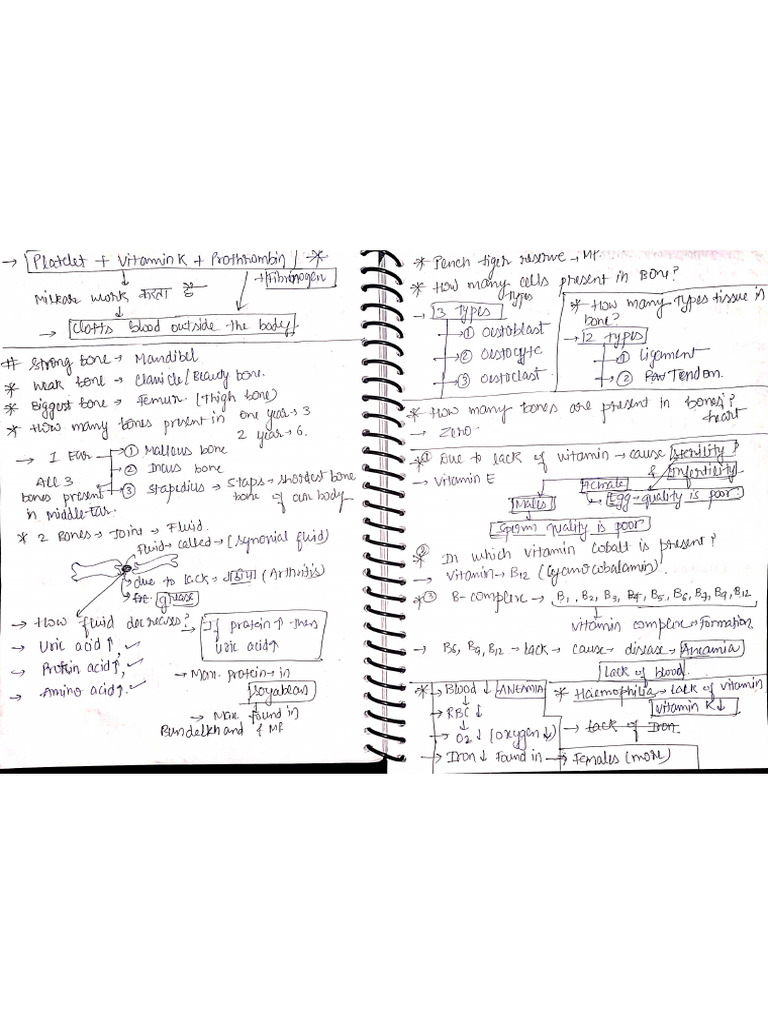 KHG | PDF