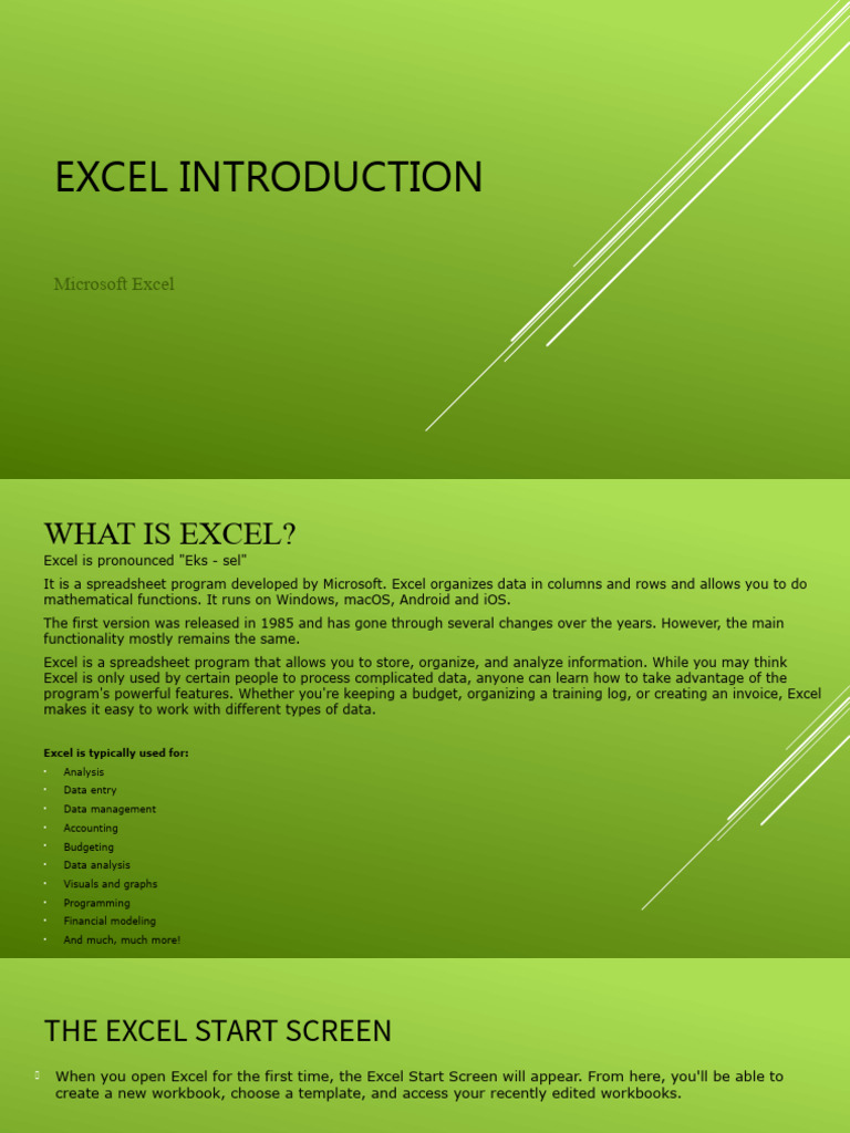 Excel Introduction | PDF | Microsoft Excel | Spreadsheet