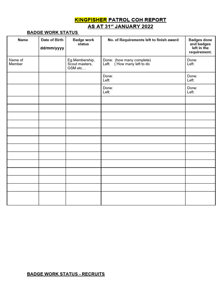 COH Report Format | PDF | Scouting | Youth Movements