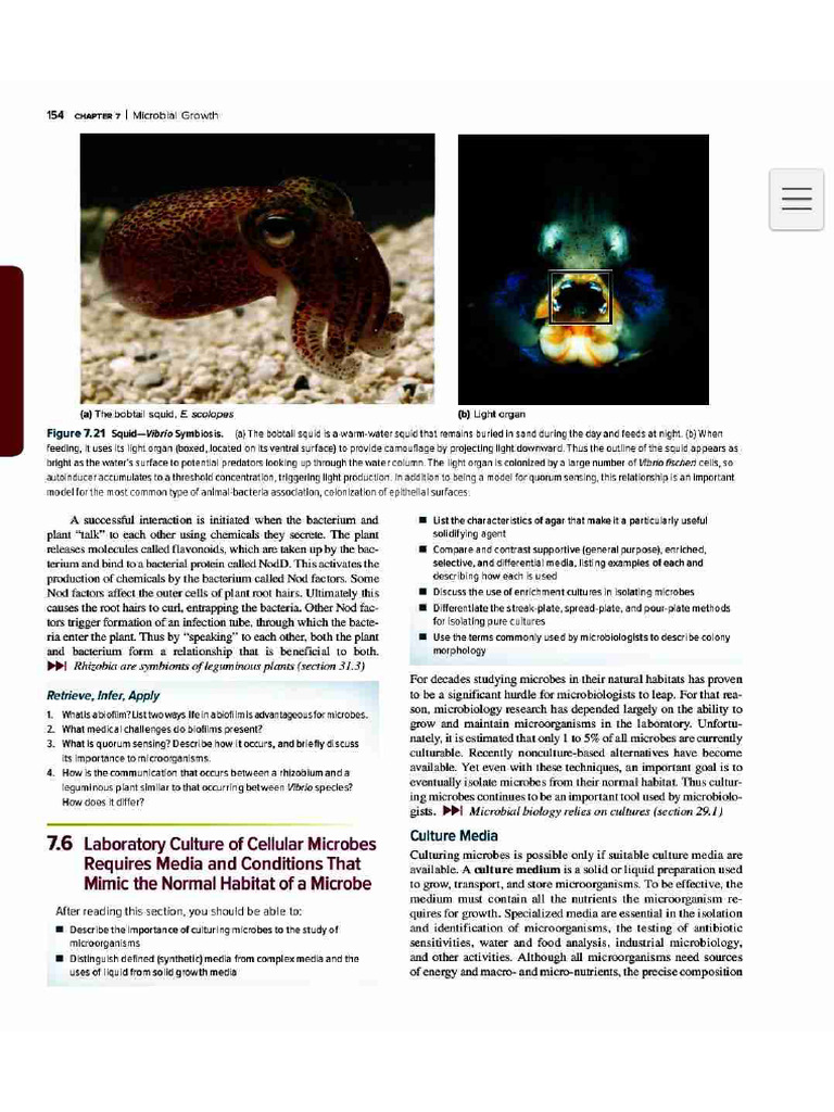 Plating Methods | PDF