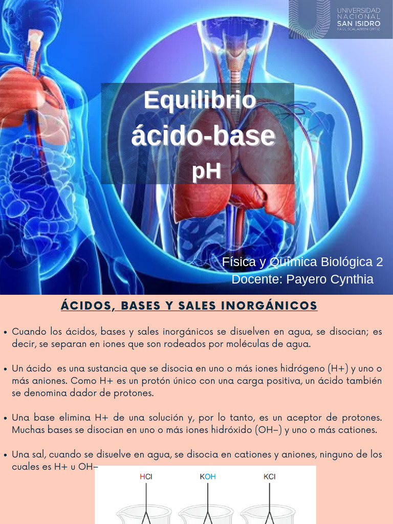 Equilibrio Ácido Base PH Liquidos Corporales | PDF | Solución tampón | Sodio