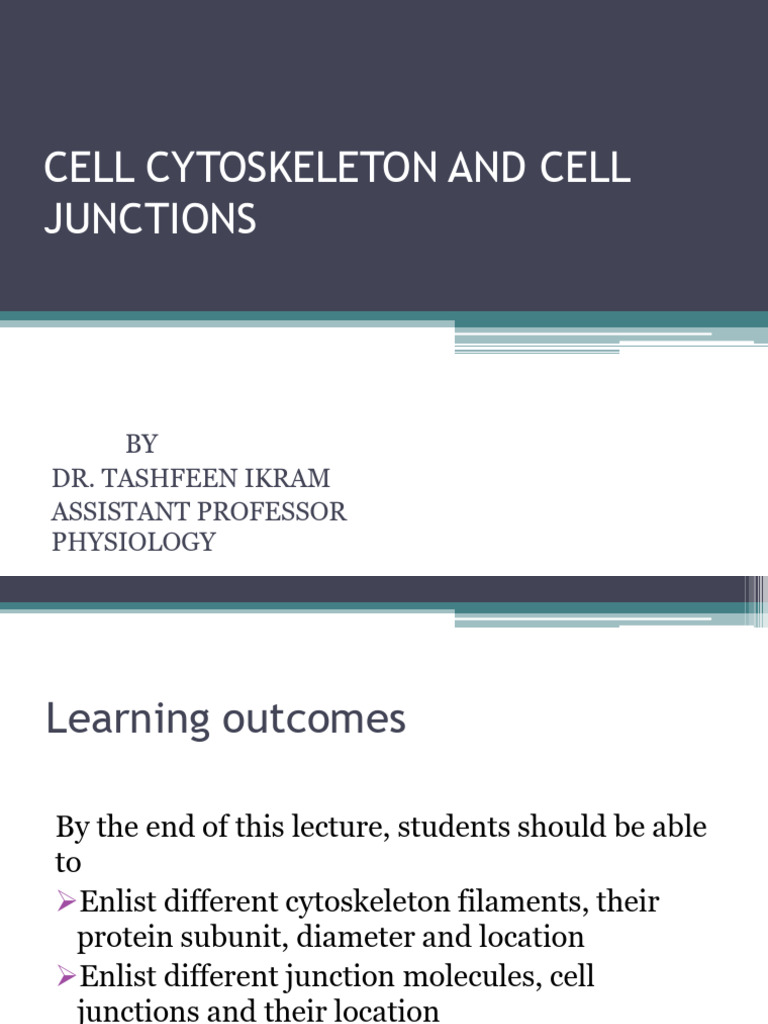 Types of Cell Junctions Explained | PDF | Cell Adhesion | Cytoskeleton