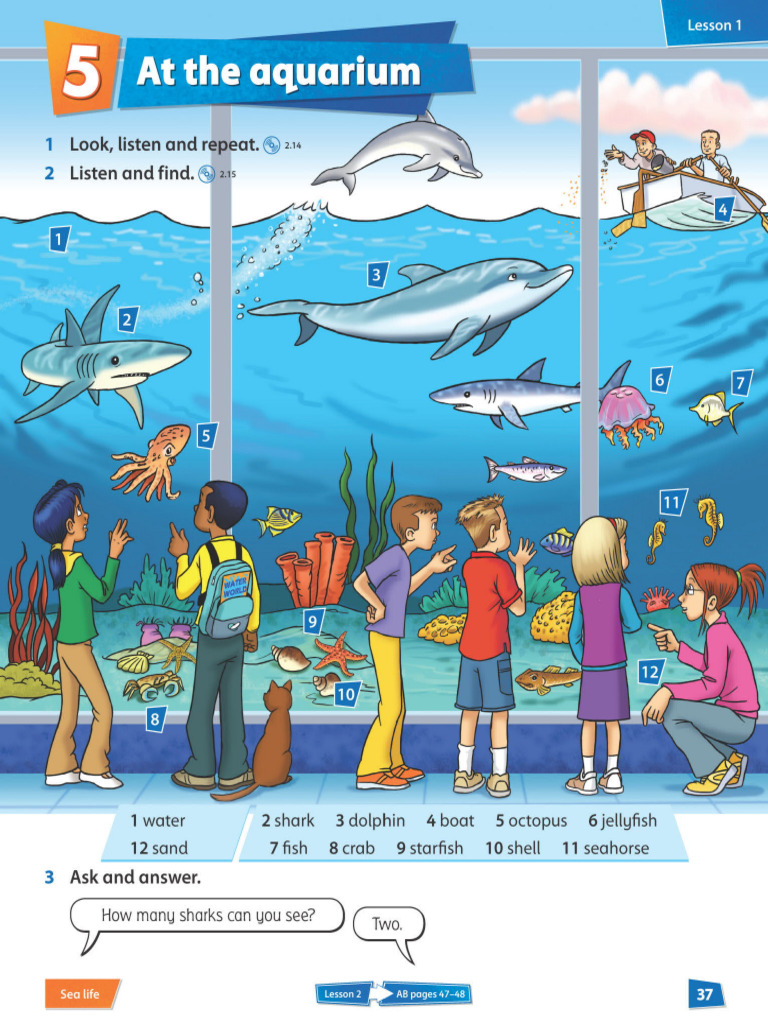 Incredible English 4 Class Book (PDFDrive) | PDF