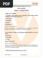 Class 7 Science Nutrition in Plants Question Paper | PDF