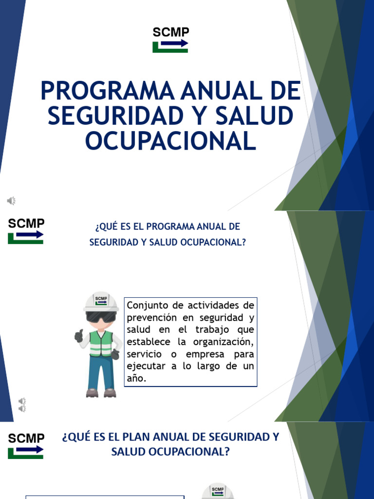 Programa Anual de Seguridad y Salud Ocupacional | PDF | Presupuesto | Seguridad y salud ocupacional