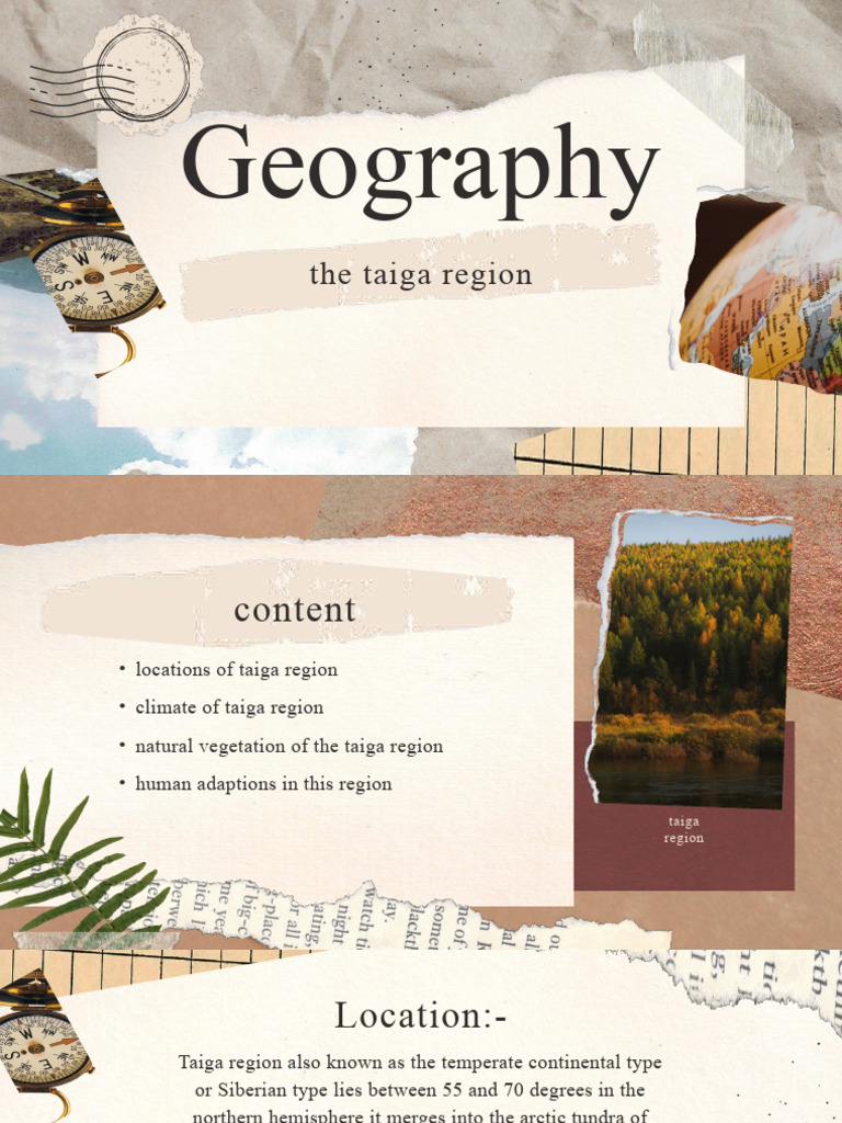 Taiga Vegetation by Devanshi Gupta | PDF | Siberia | Forests